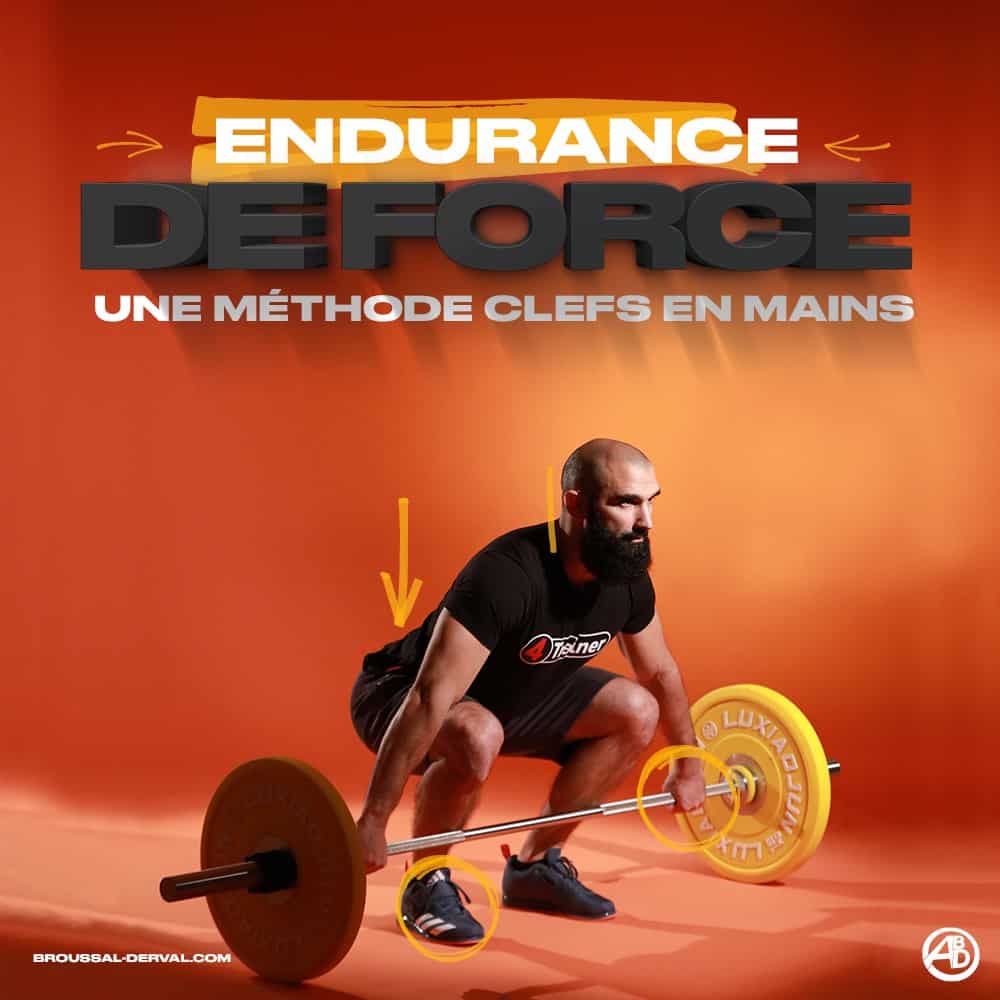 DEJEPS HMFA - Haltérophilie, Musculation et Force Athlétique ABD FORMATION